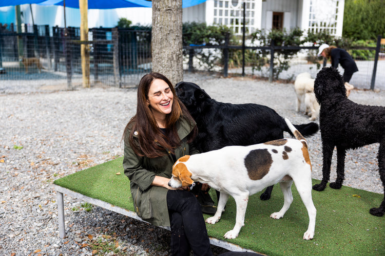 Vet Behavior – Southern Hound Club